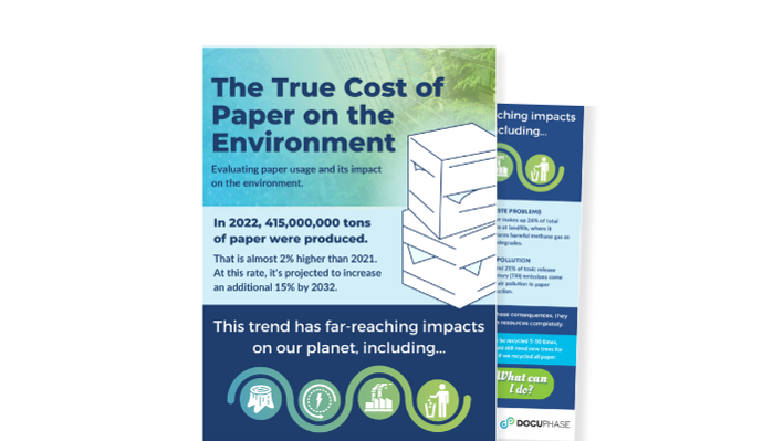 The True Cost of Paper on The Environment
